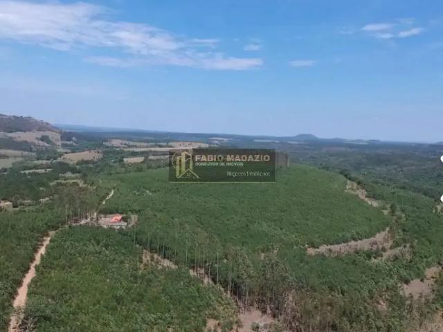 Fazenda para Venda em Itapetininga/SP Área Rural de Itapetininga