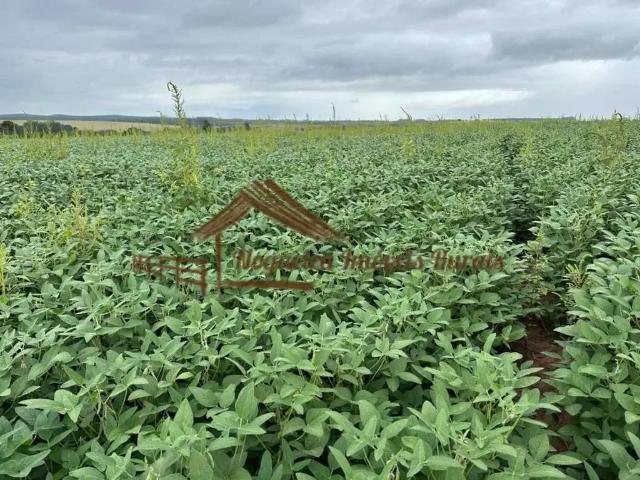 Fazenda para Venda em Itapetininga/SP Área Rural de Itapetininga