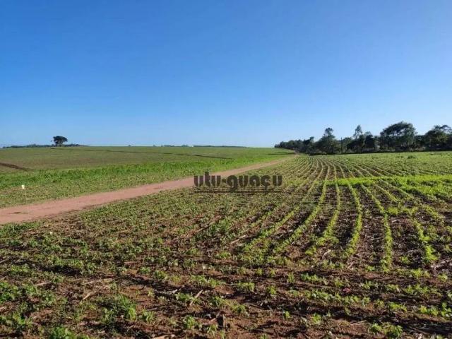 Fazenda para Venda em Itapetininga/SP Área Rural de Itapetininga