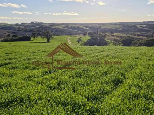 Fazenda para Venda em Itapetininga/SP Área Rural de Itapetininga