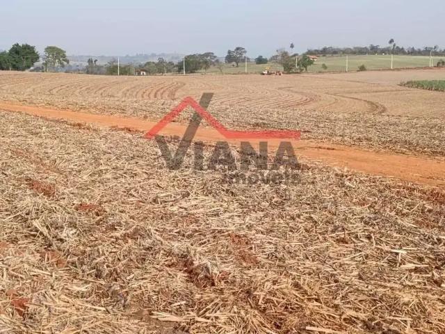 Fazenda para Venda em Itapetininga/SP Área Rural de Itapetininga