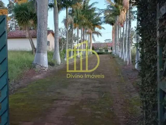 Fazenda para Venda em Itapetininga/SP Gramadinho 2 Quartos