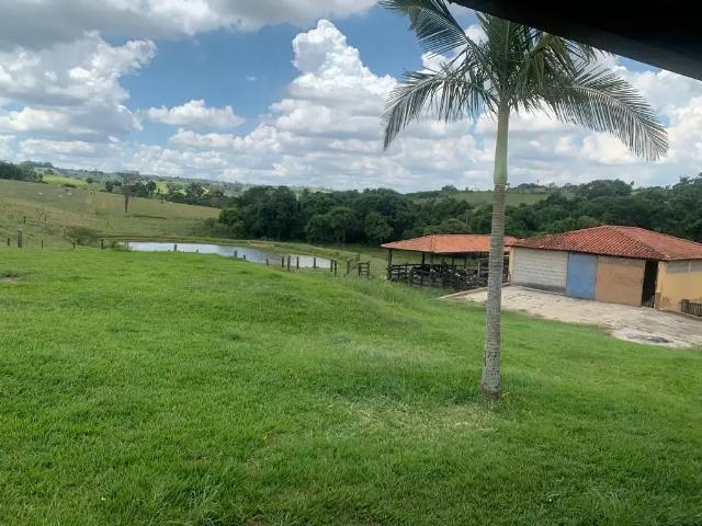 Fazenda para Venda em Itapetininga/SP Passa Três 2 Quartos