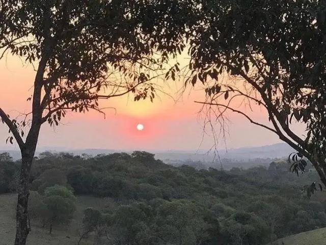 Fazenda para Venda em Itapetininga/SP Vila Arruda 3 Quartos