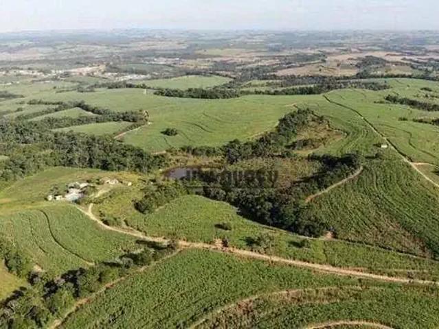 Fazenda para Venda em Itapetininga/SP Vila Nova Itapetininga