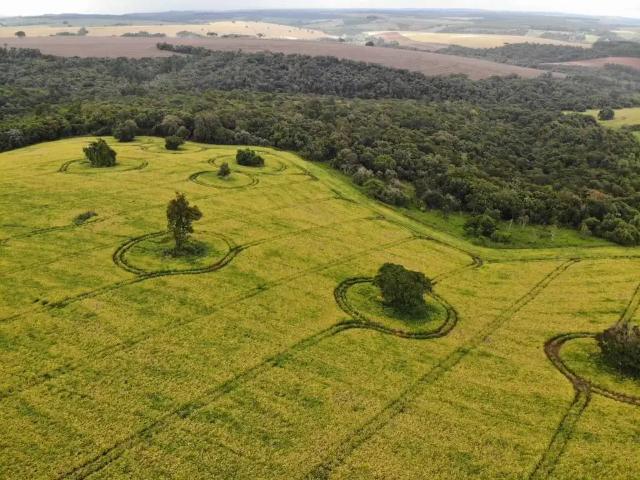 Fazenda para Venda em Itapeva/SP Área Rural de Itapeva 1 Quartos