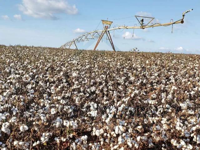 Fazenda para Venda em Itapeva/SP Centro