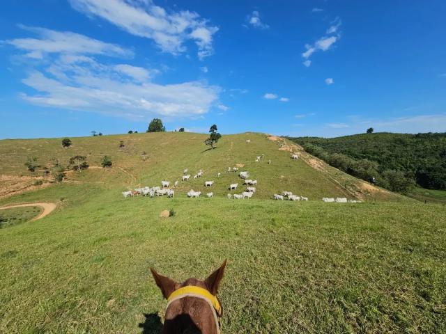 Fazenda para Venda em Itapemirim/ES Centro