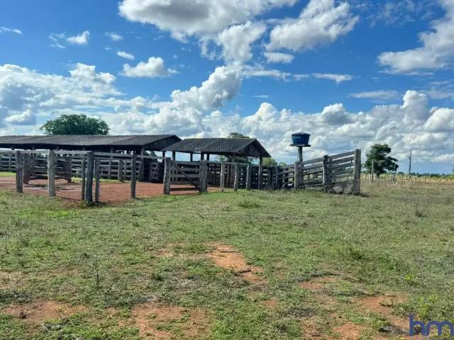 Fazenda para Venda em Itapirapuã/GO Área Rural de Itapirapuã