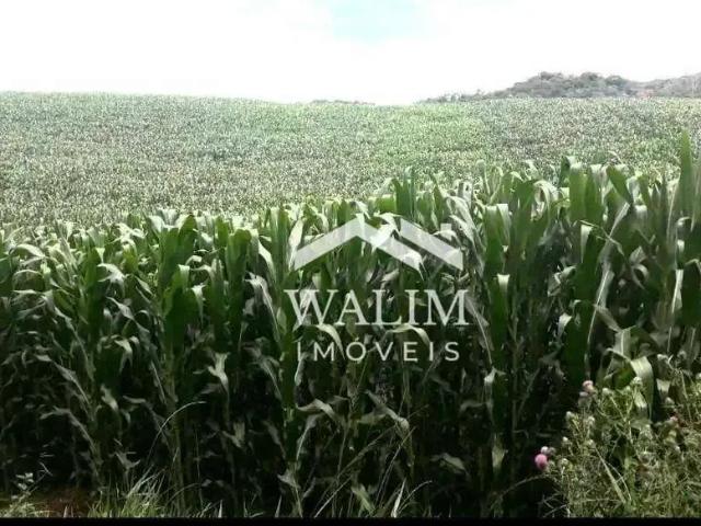 Fazenda para Venda em Itapirapuã Paulista/SP Centro