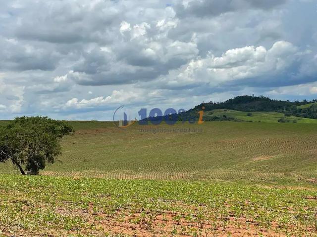 Fazenda para Venda em Itapira/SP Área Rural de Itapira