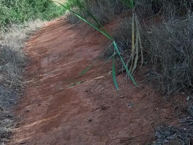 Fazenda para Venda em Itapuranga/GO Zona Rural