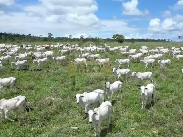 Fazenda para Venda em Itarantim/BA Zona Rural 4 Quartos