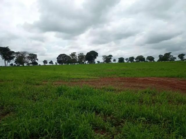 Fazenda para Venda em Itarumã/GO Zona Rural 3 Quartos