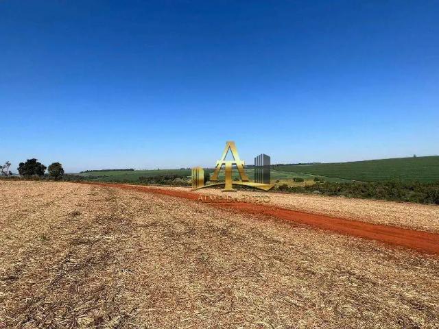 Fazenda para Venda em Itatinga/SP Zona Rural 1 Quartos
