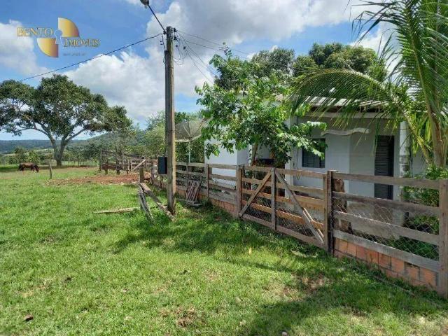 Fazenda para Venda em Itiquira/MT Zona Rural