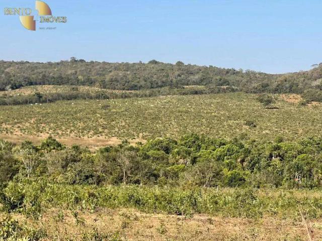 Fazenda para Venda em Itiquira/MT Zona Rural
