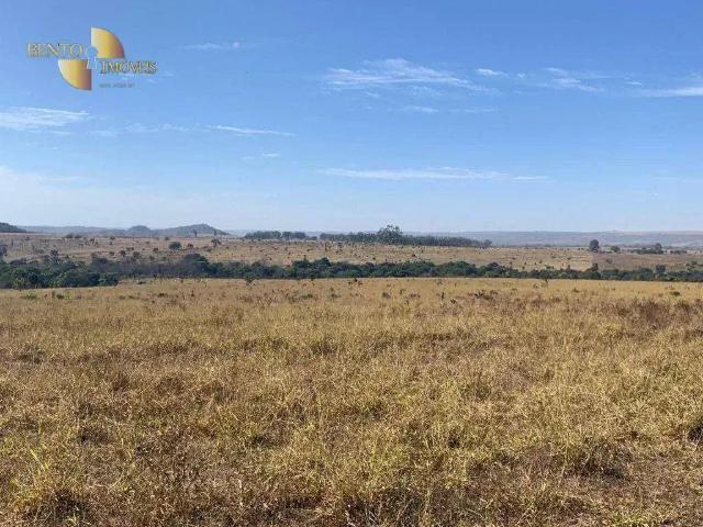 Fazenda para Venda em Itiquira/MT Zona Rural