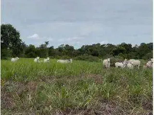Fazenda para Venda em Itiquira/MT Zona Rural