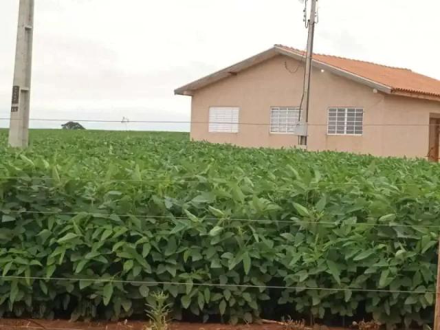 Fazenda para Venda em Ivaté/PR Zona Rural