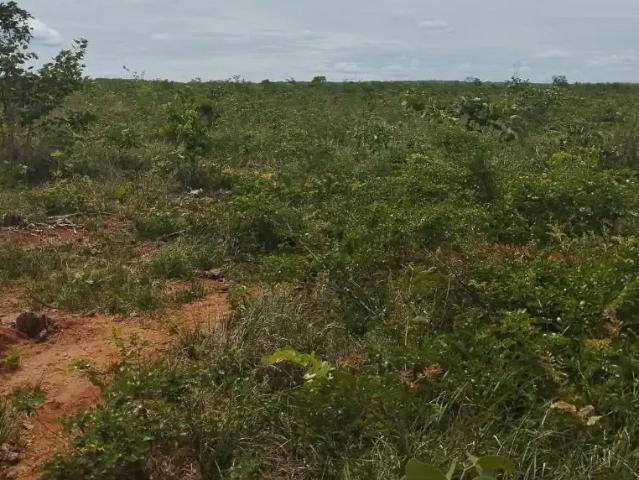 Fazenda para Venda em João Pinheiro/MG Zona Rural