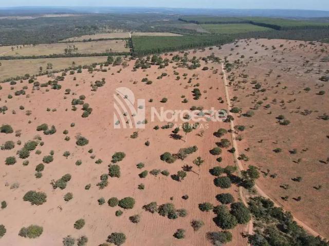 Fazenda para Venda em João Pinheiro/MG Zona Rural