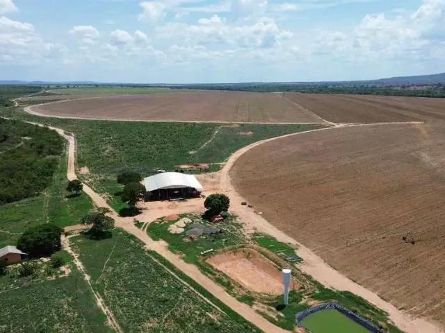 Fazenda para Venda em João Pinheiro/MG Zona Rural