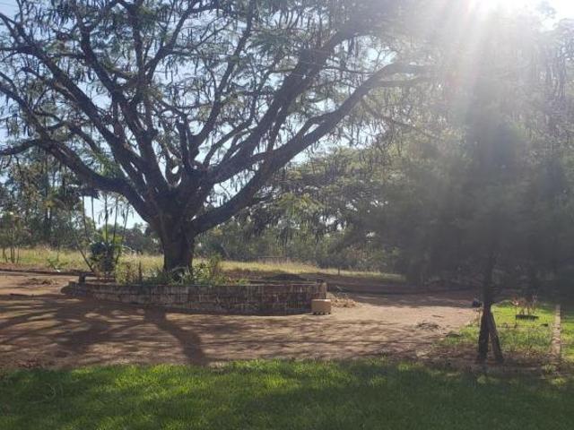 Fazenda para venda em Joanápolis, Anápolis