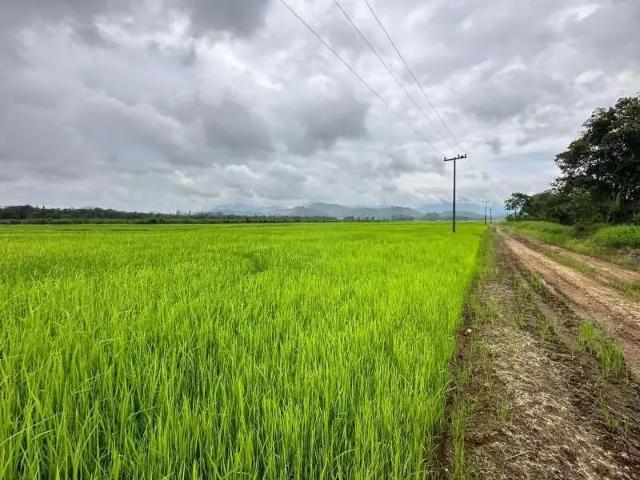 Fazenda para Venda em Joinville/SC Vila Nova