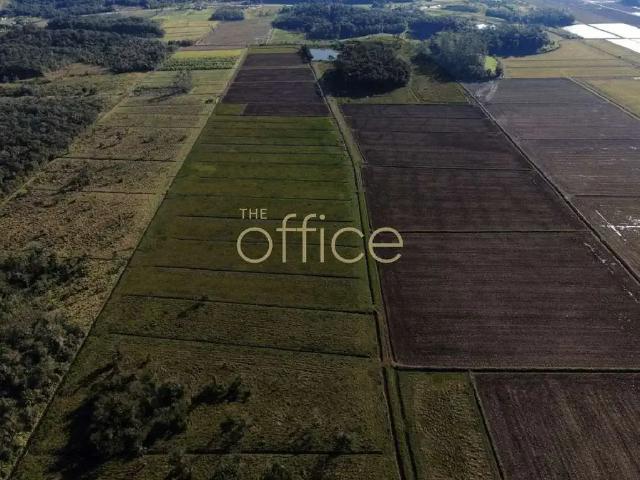 Fazenda para Venda em Joinville/SC Vila Nova