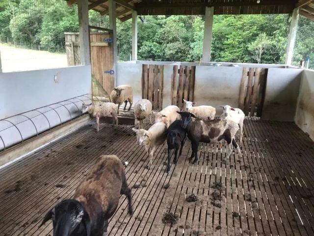 Fazenda para Venda em Joinville/SC Vila Nova