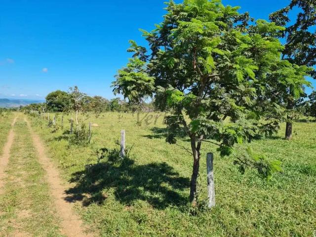 Fazenda para Venda em Jataí/GO Centro 5 Quartos