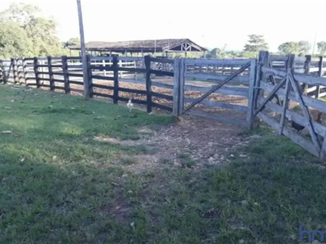 Fazenda para Venda em Jaú do Tocantins/TO Zona Rural