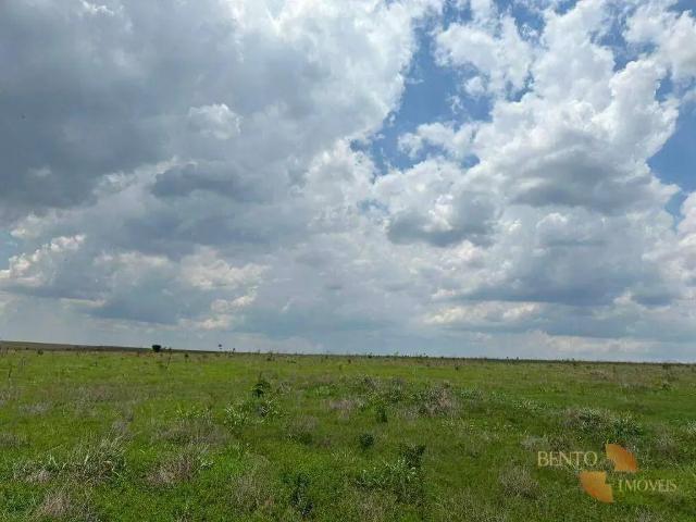 Fazenda para Venda em Jaciara/MT Zona Rural