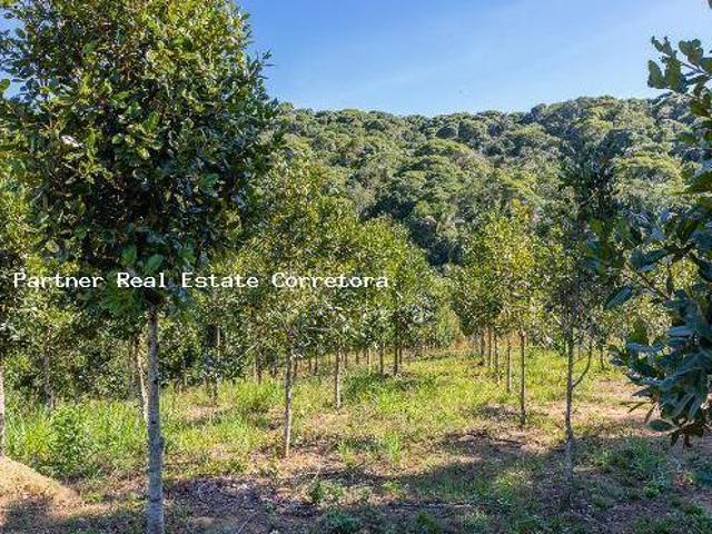 Fazenda para Venda em Jacupiranga, Zona Rural, 1 dormitório, 1 suíte, 1 banheiro, 99 vagas