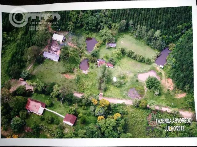 Fazenda para Venda em Jacupiranga/SP Zona Rural
