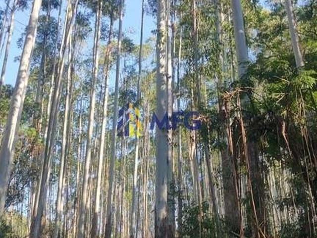 Fazenda para Venda em Jacupiranga/SP Centro