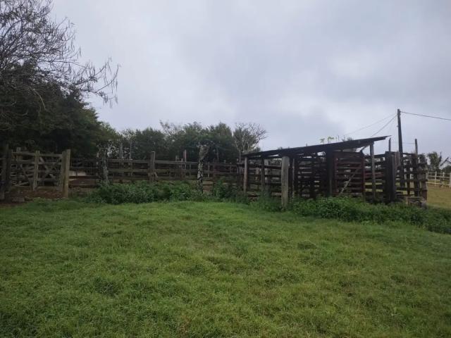 Fazenda para Venda em Jaguaquara/BA Zona Rural