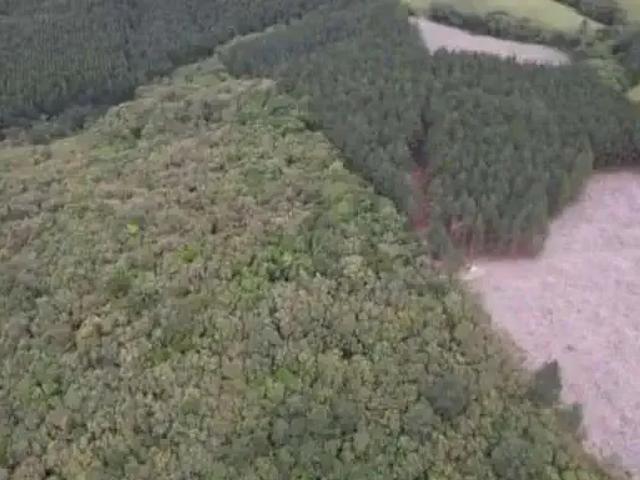 Fazenda para Venda em Jaguariaíva/PR Centro