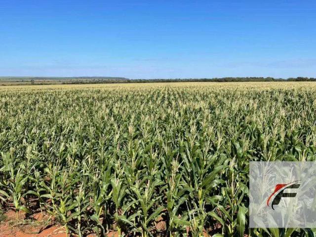Fazenda para Venda em Jaguariaíva/PR Lagoão