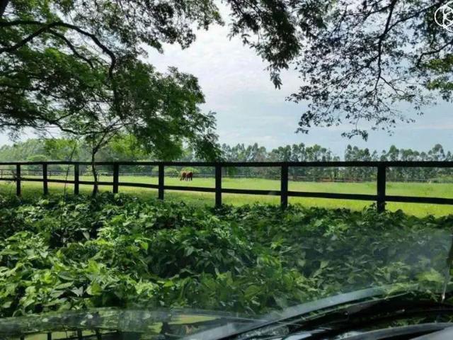 Fazenda para Venda em Jaguariúna/SP Área Rural de Jaguariúna 6 Quartos