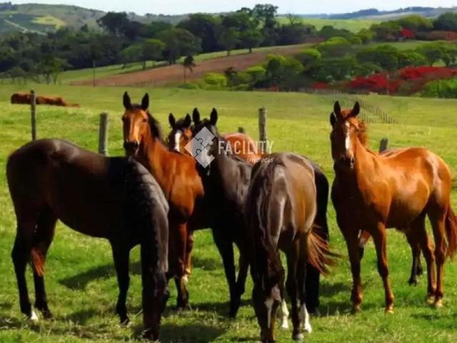 Fazenda para Venda em Jaguariúna/SP Área Rural de Jaguariúna 1 Quartos