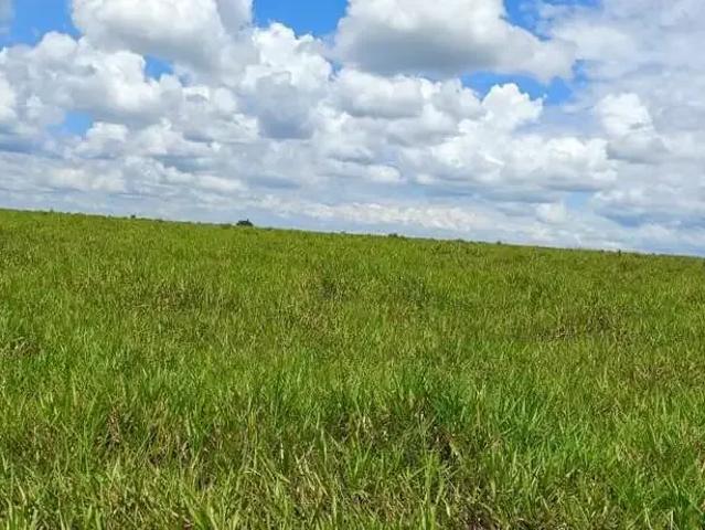 Fazenda para Venda em Jales/SP Área Rural de Jales