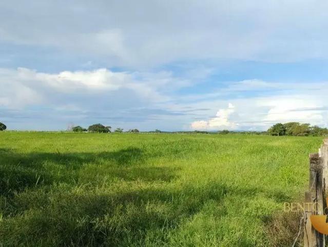 Fazenda para Venda em Jangada/MT Zona Rural
