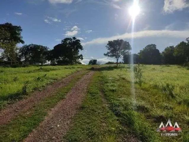 Fazenda para Venda em Jangada/MT Zona Rural 4 Quartos