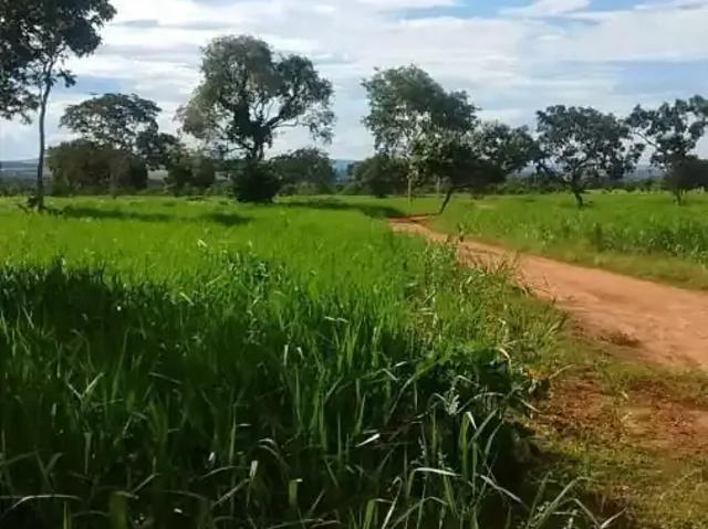 Fazenda para Venda em Jangada/MT Zona Rural