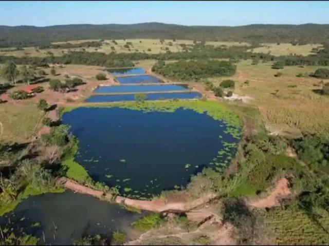 Fazenda para Venda em Jangada/MT Zona Rural