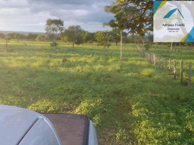Fazenda para venda em Januária