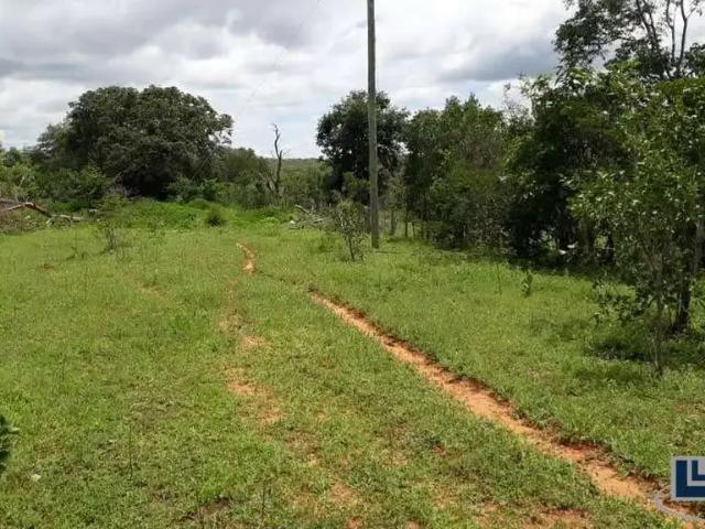 Fazenda para Venda em Januária/MG Zona Rural