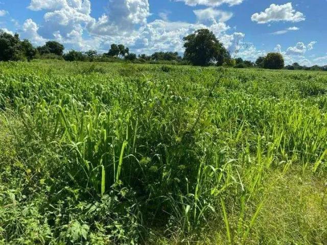 Fazenda para Venda em Januária/MG Centro 1 Quartos